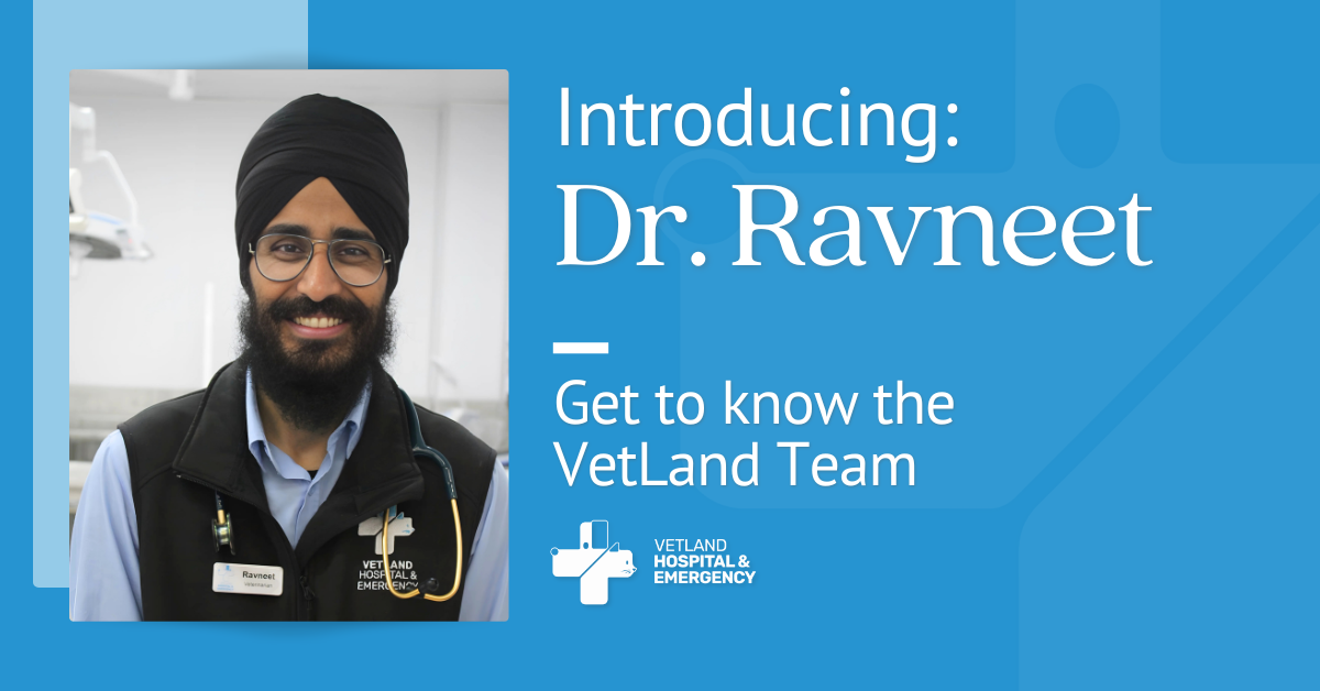 Introducing Dr. Ravneet